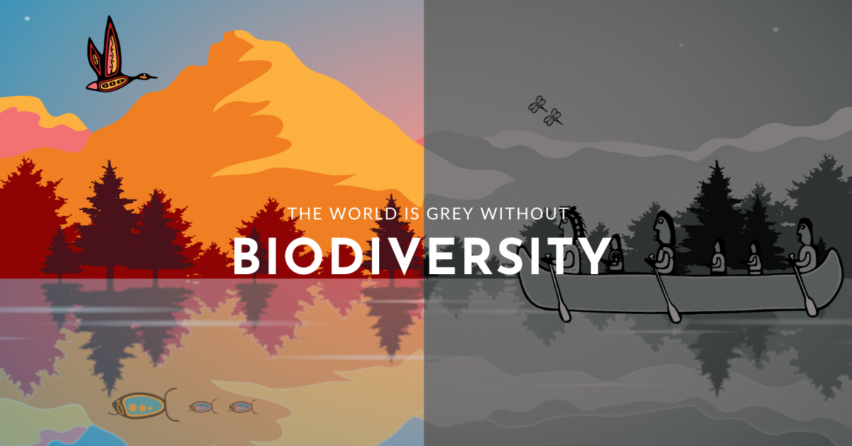 New national campaign for action on biodiversity loss in Canada | CRC ...