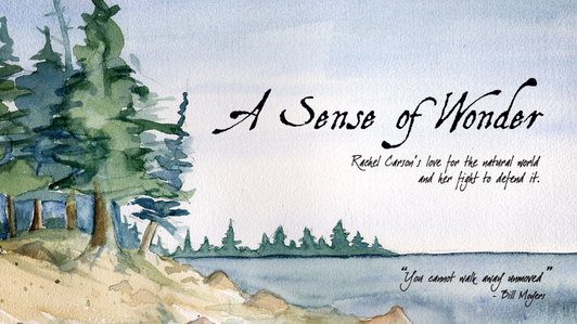 A Sense of Wonder | CRC Research